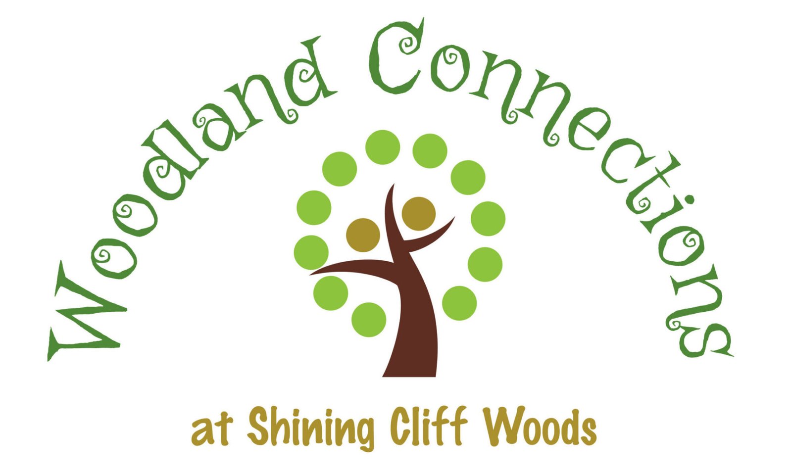 Woodland Connections – at Shining Cliff Woods